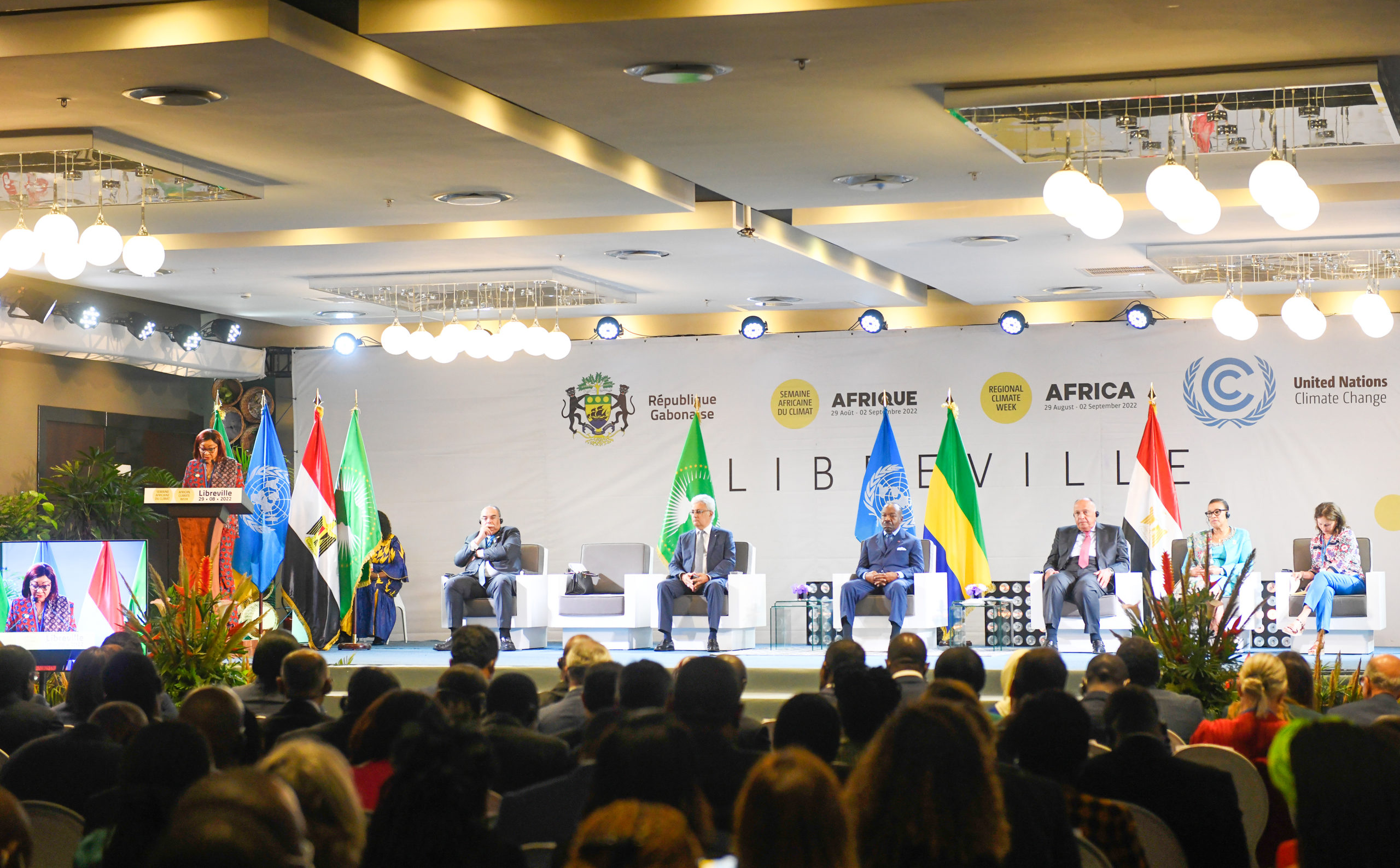 Africans taking the bull by the horn to Sharm El Shiekh ...