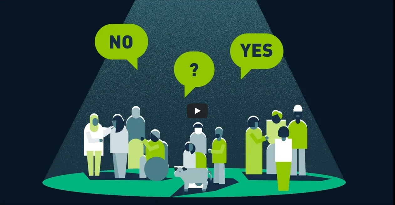 Making green hydrogen trade fair and sustainable | EnergyTransition.org